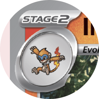 Pokémon TCG | Learn to Play!