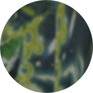 The Pokémon Trading Card Game | Product Guide