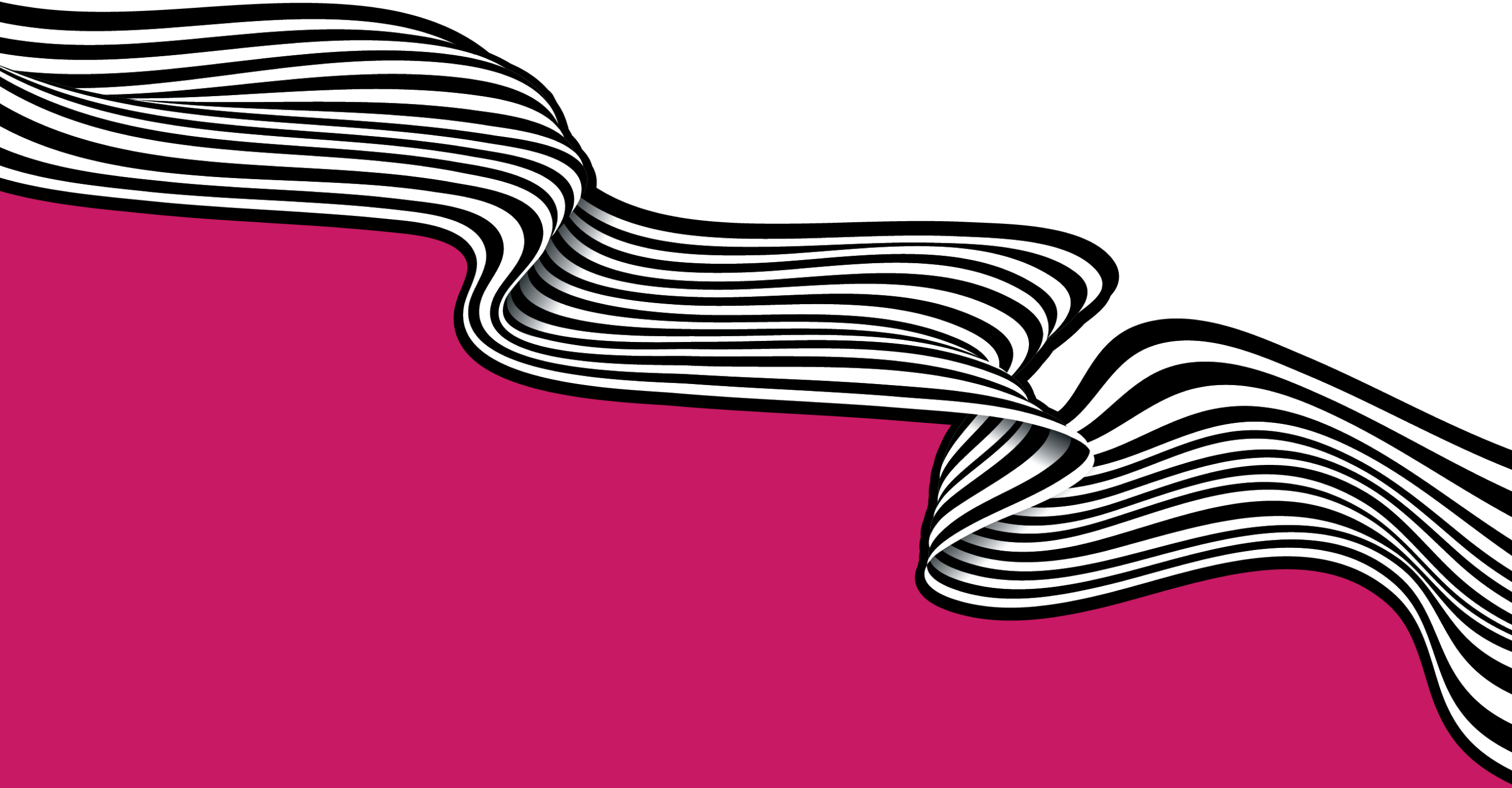 Expansion Overview | Pokémon TCG: Scarlet & Violet—Black Bolt and ...