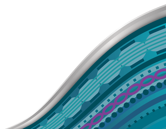 Expansion Overview | Pokémon TCG: Scarlet & Violet—Twilight Masquerade