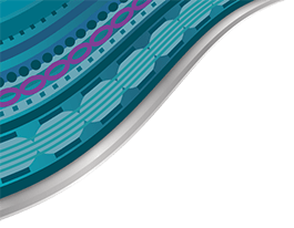 Card Gallery | Pokémon TCG: Scarlet & Violet—Twilight Masquerade